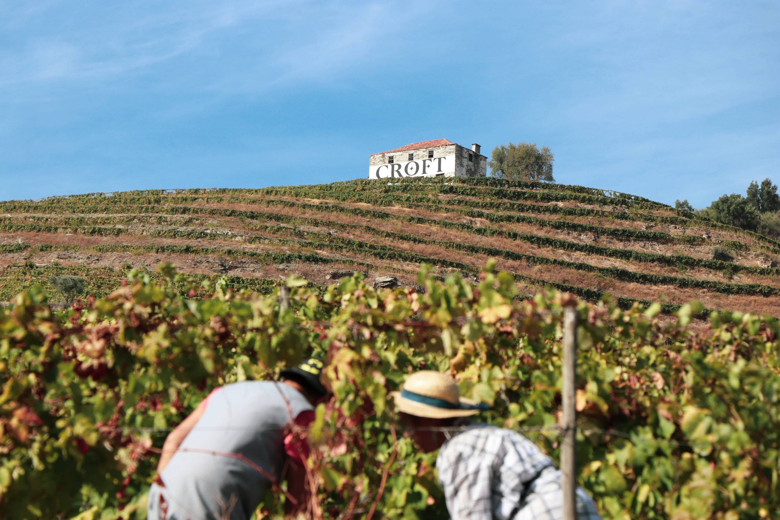 Reserve Ruby - Croft Port